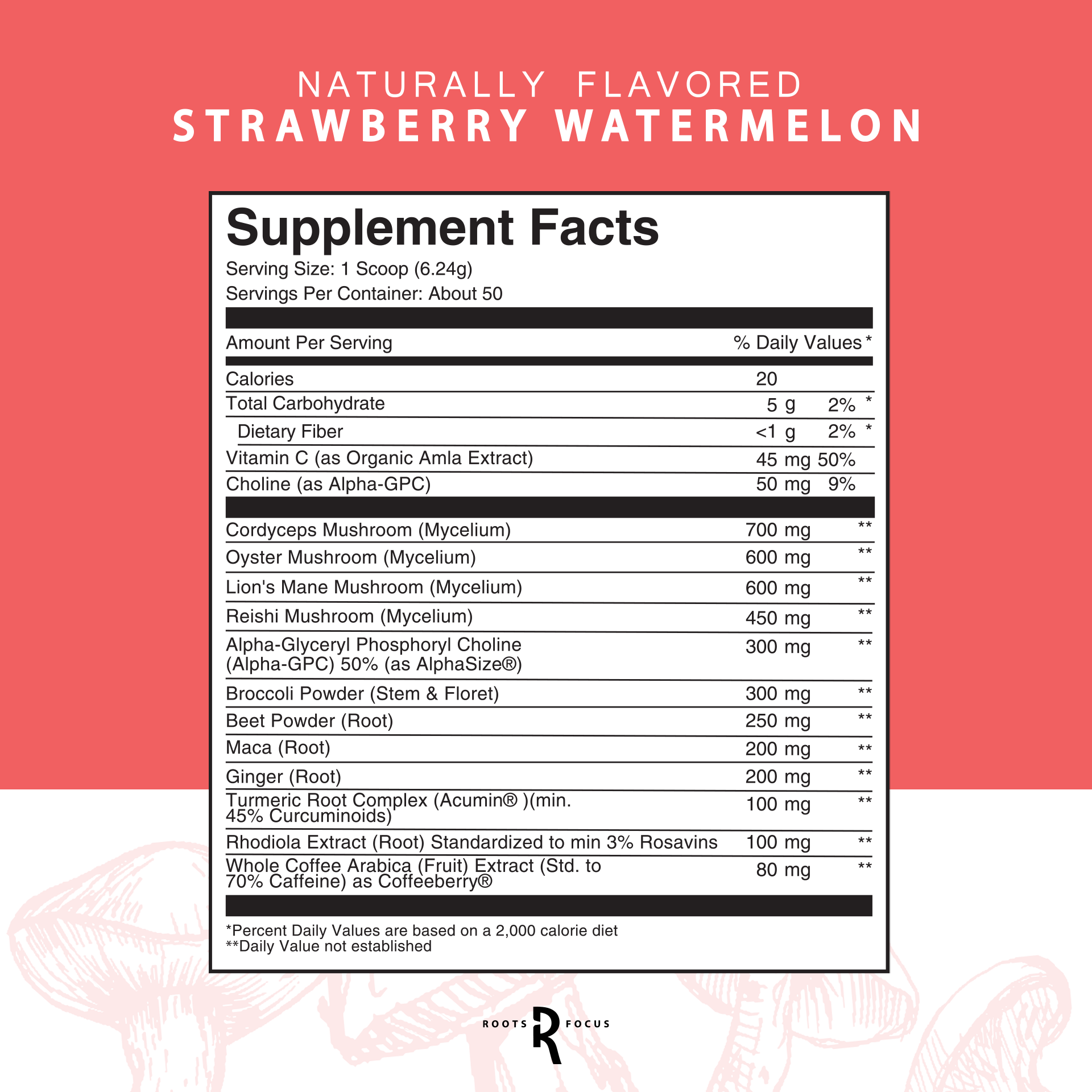 Roots Focus Strawberry Watermelon 50 srv - Roots Focus